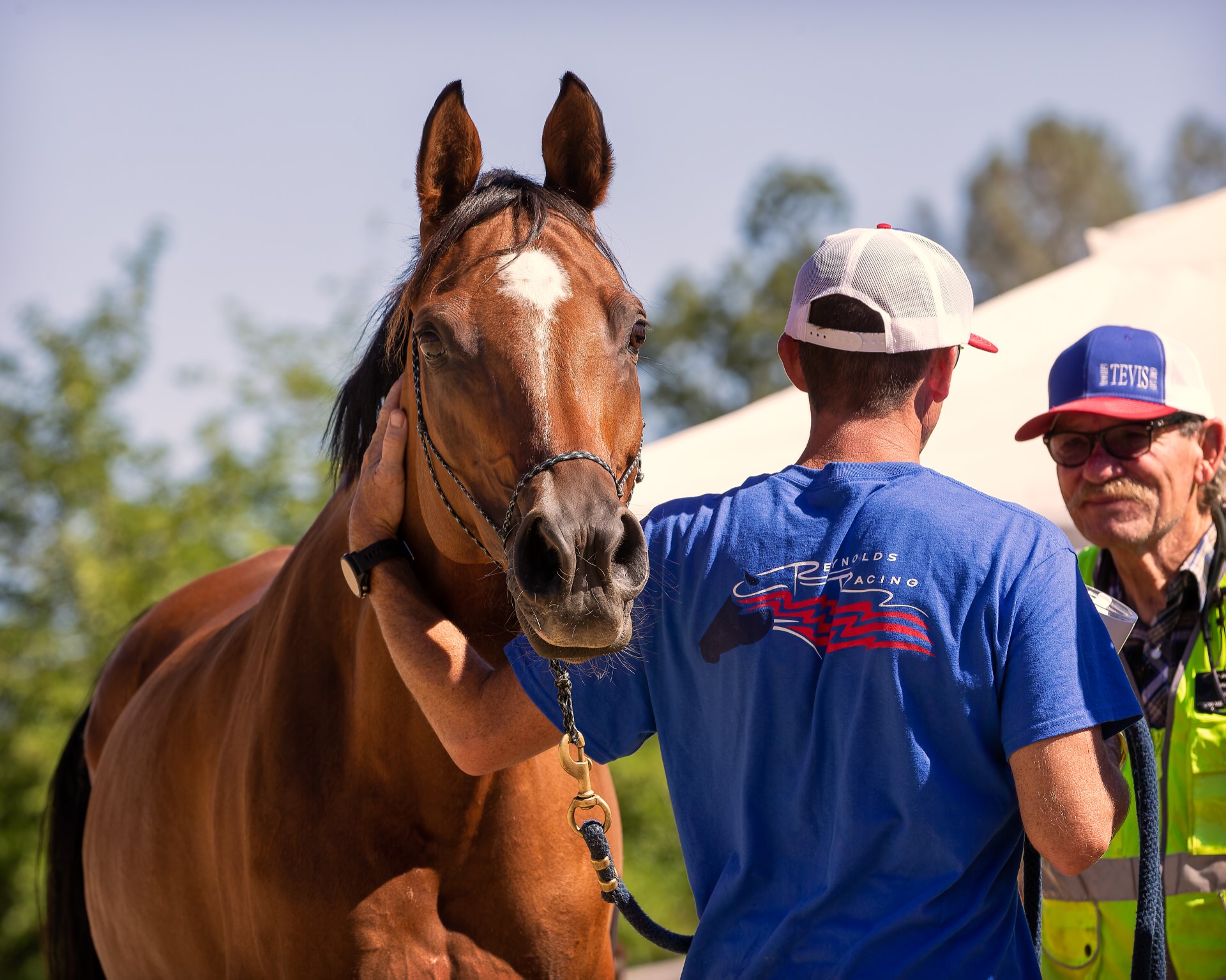 Dunnellon equestrian brings home 5th gold medal in world-class ...