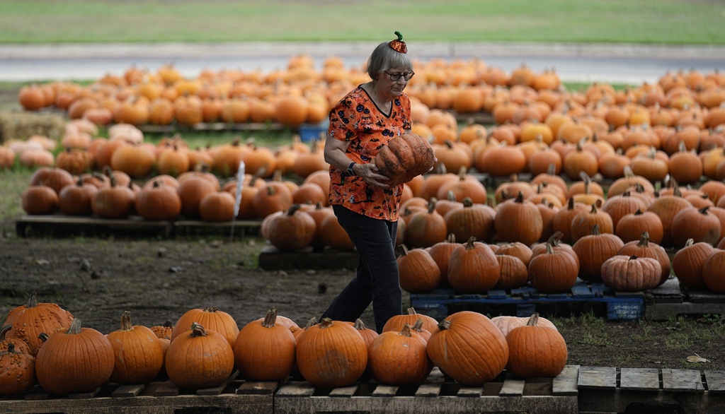 How extreme weather in the US may have affected the pumpkins you picked ...