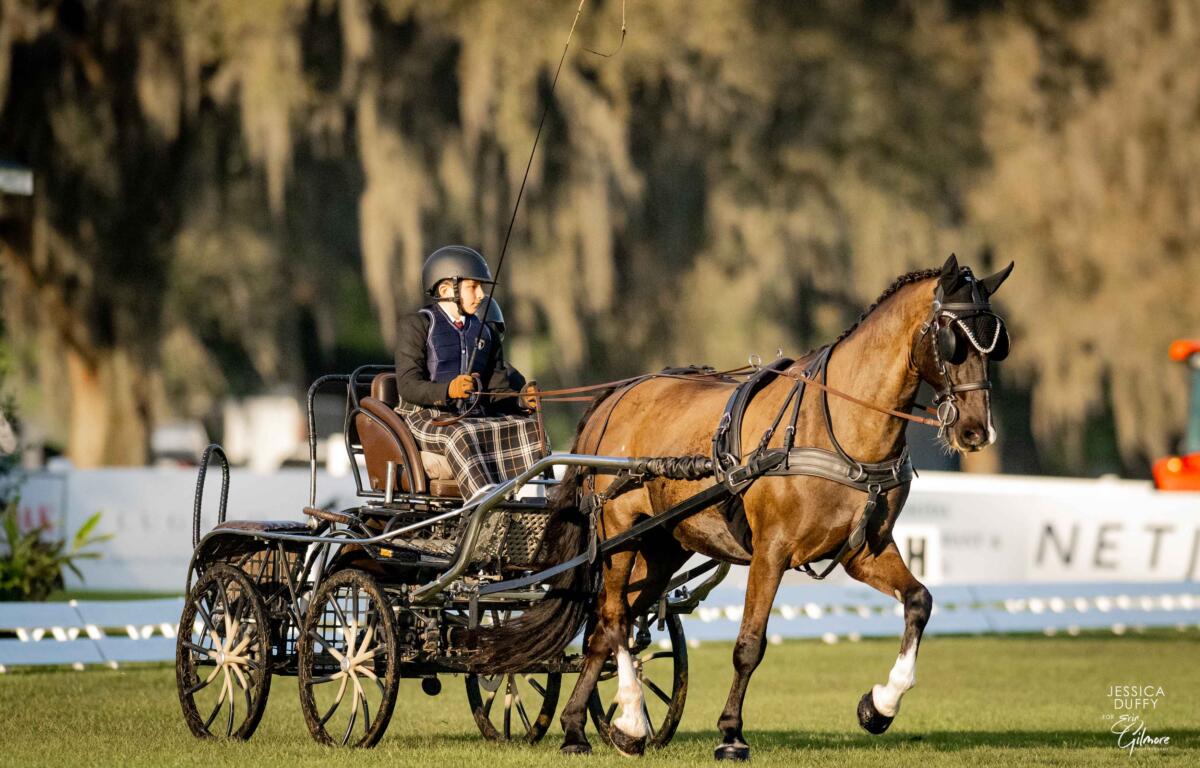33rd annual Live Oak International tournament gallops into its final ...