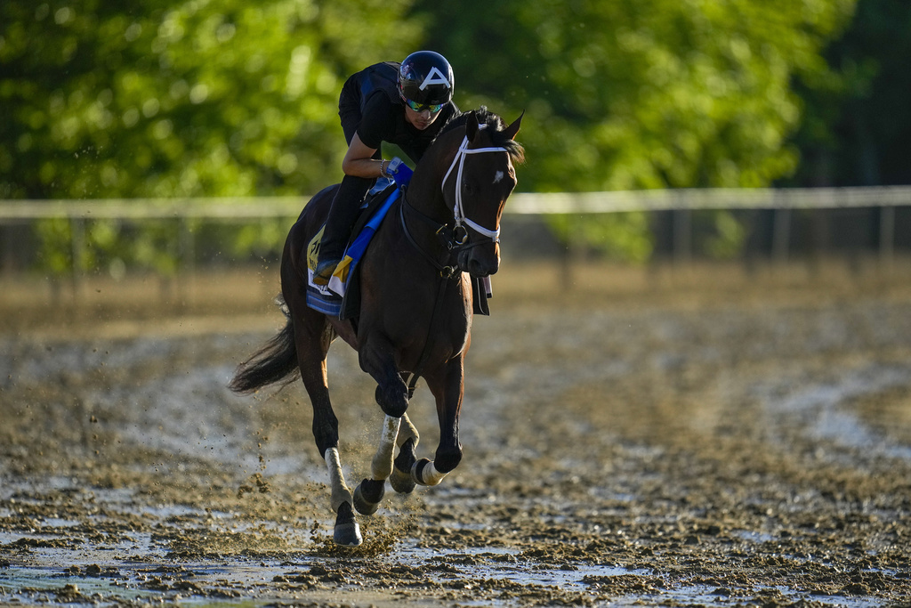 Marion County’s ties to thoroughbreds in Saturday’s Preakness Stakes ...