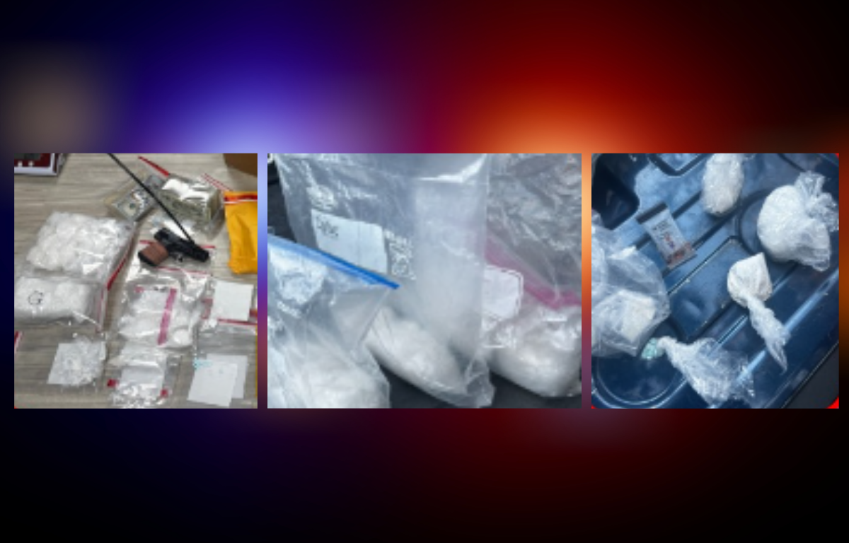 Citrus County Sheriff’s deputies seize enough fentanyl to kill 81,300 ...