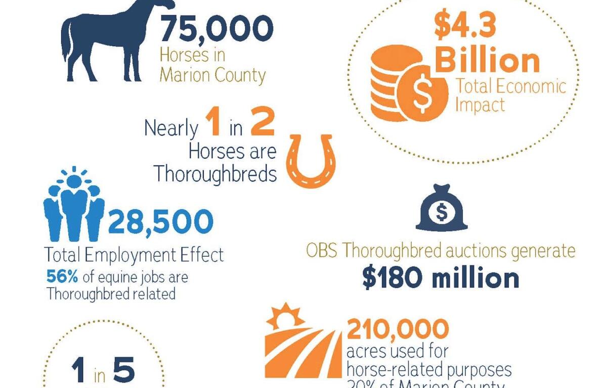 New report indicates equine industry contributes $4.3 billion economic ...