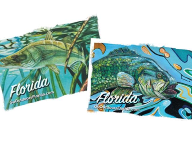 New Florida fishing licenses feature youth artwork designs | 93.7 HD2 ...