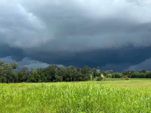 WORKWEEK WEATHER: Rain chances rise as weak Gulf system brings storms ...