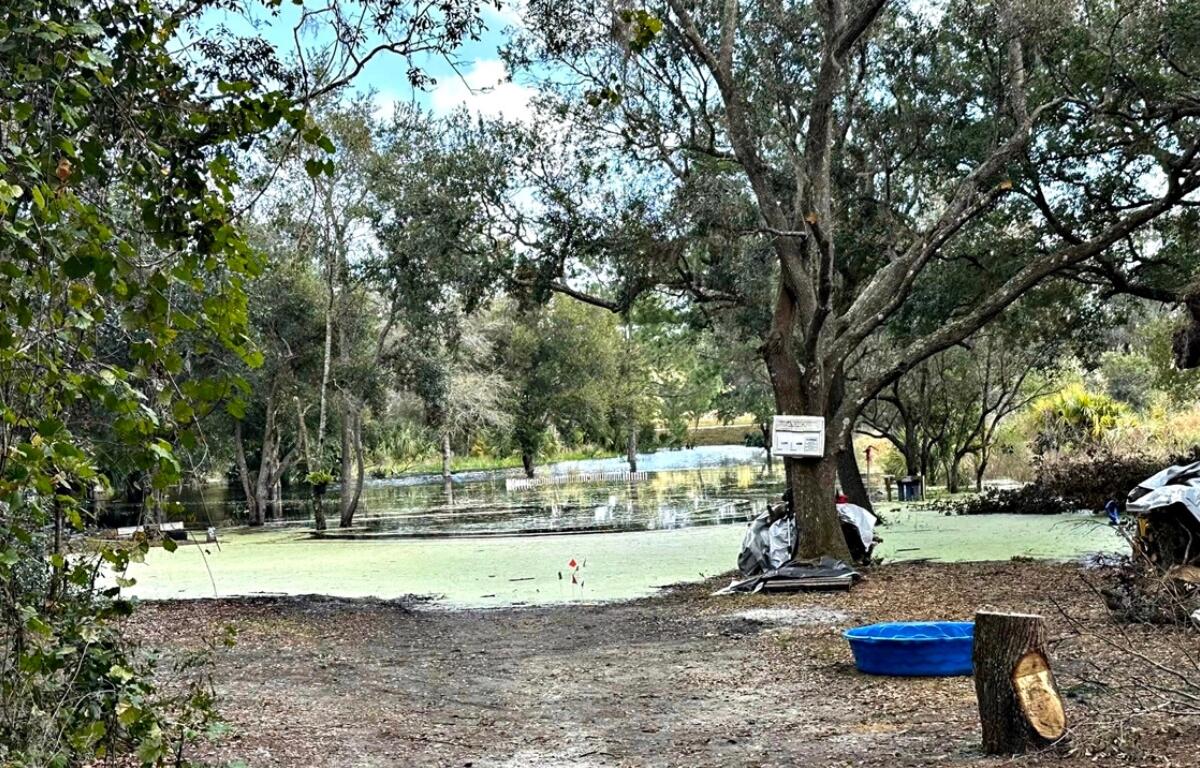Withlacoochee River flooding prompts road closures and curfew in Citrus ...