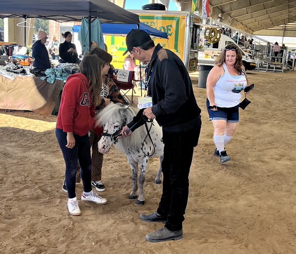 Circus Spots, miniature therapy horse, inspires at career expo - 352today