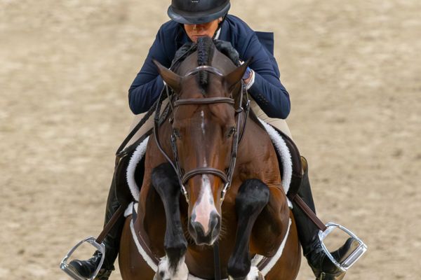 Amanda Steege and Laffite de Muze: A winning team on the hunter circuit ...