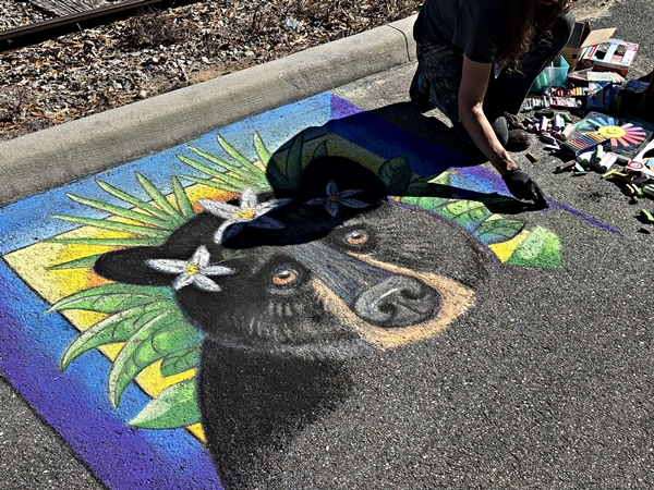 The winners of the 2025 OTrak Chalk Walk Competition were announced at ...