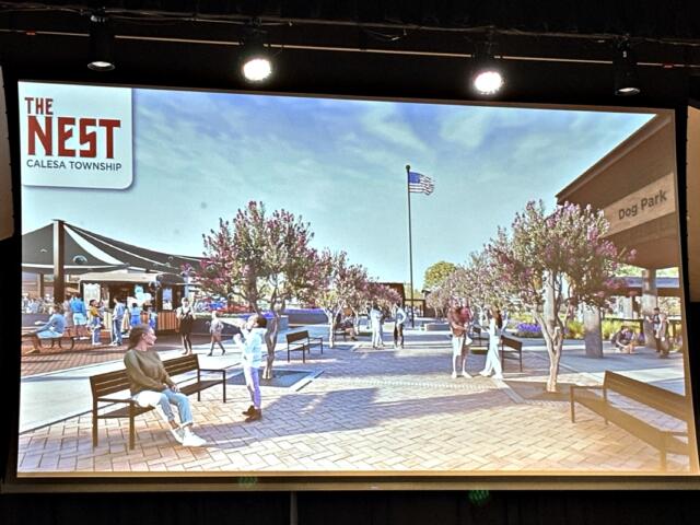 Build it and they will come: Colen Built Team celebrates growth and ...