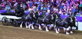 Grandview World Nights to host prestigious Draft Horse World Series ...