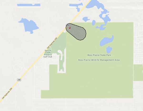 Prescribed burn in Ross Prairie State Forest today to improve habitat ...