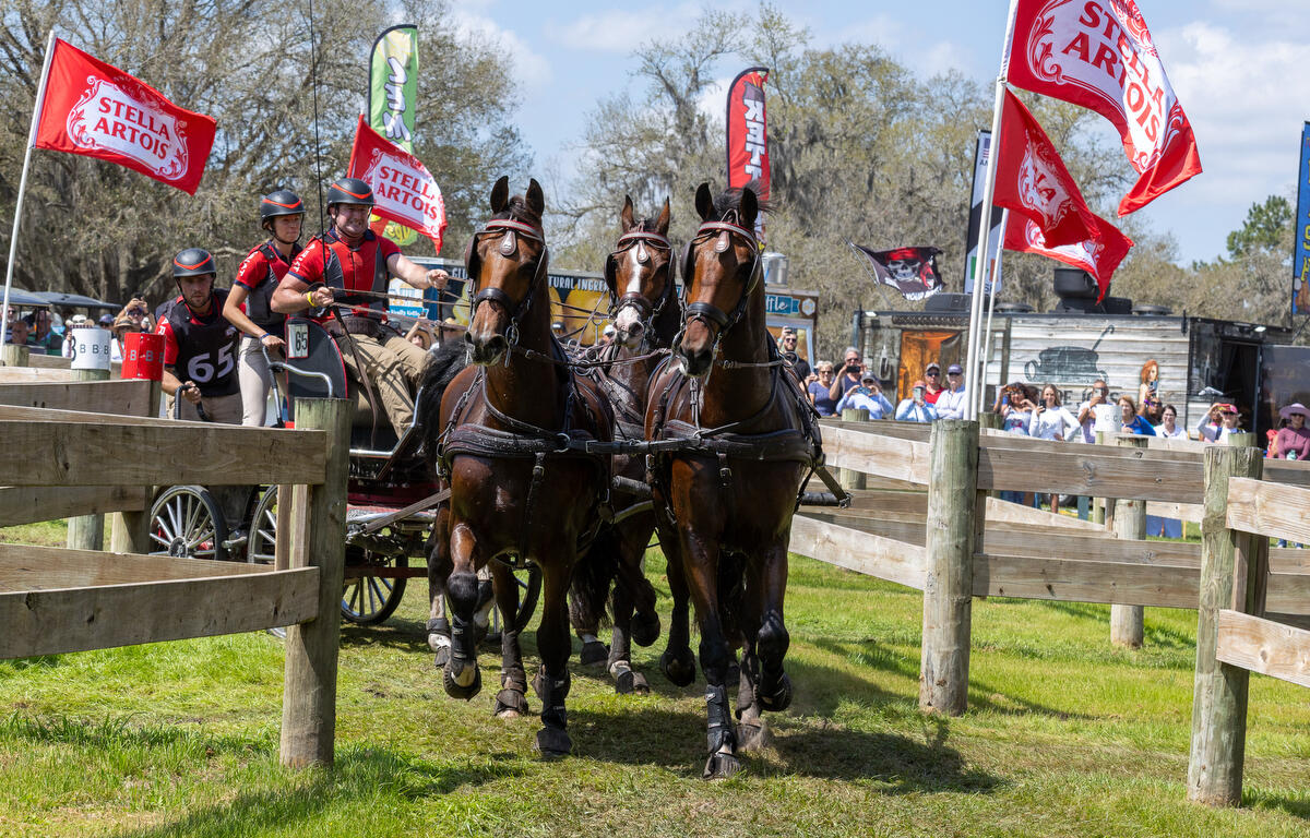 Chester Weber, Campbell’s Soup heir, honored with his own day in Ocala ...