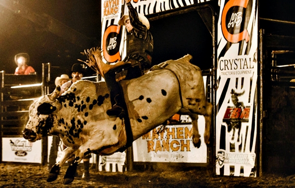 Mayhem Ranch Rodeo Fest brings bulls, broncs, and BBQ to Ocala - 352today