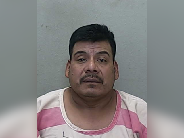 Wanted sexual offender in Marion County arrested while boarding plane ...