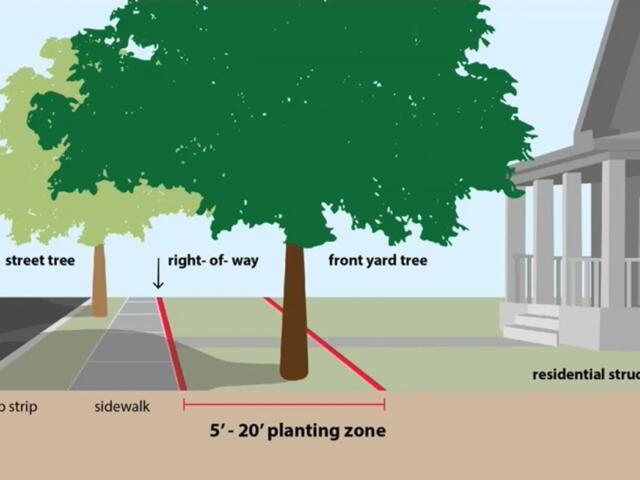 Marion County plans changes to landscaping and tree rules that could ...
