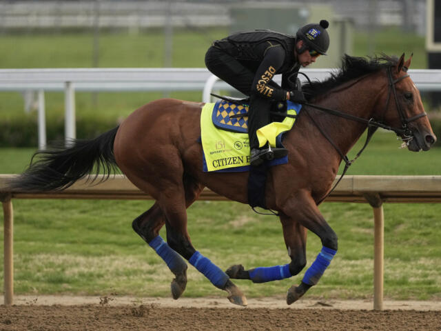 Local horses to watch in the Kentucky Derby: Ocala ties, Toby Keith’s ...