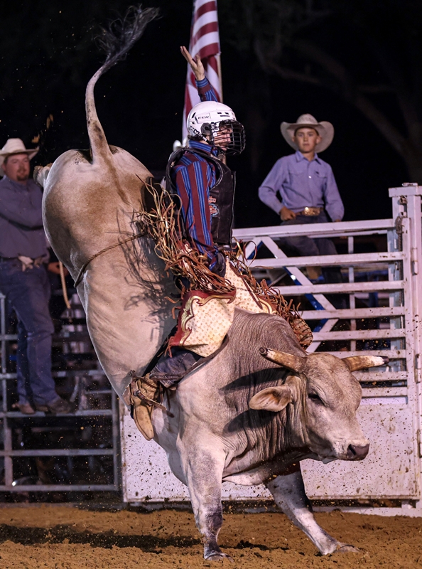Bull riding meets big-name country in Ocala’s first Bull Bash & Country ...
