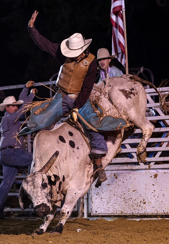 Bull riding meets big-name country in Ocala’s first Bull Bash & Country ...