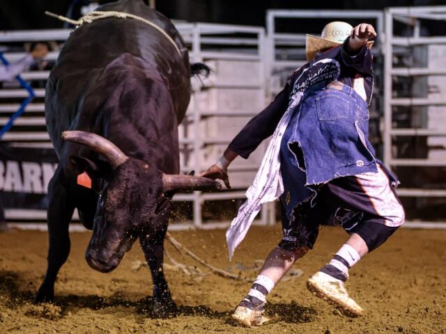 Bull riding meets big-name country in Ocala’s first Bull Bash & Country ...