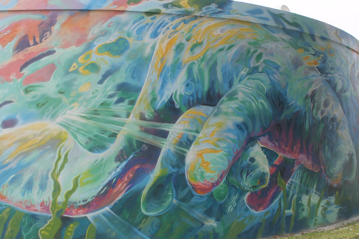 Murals of Ocala: How public art is telling the city’s story one wall at ...