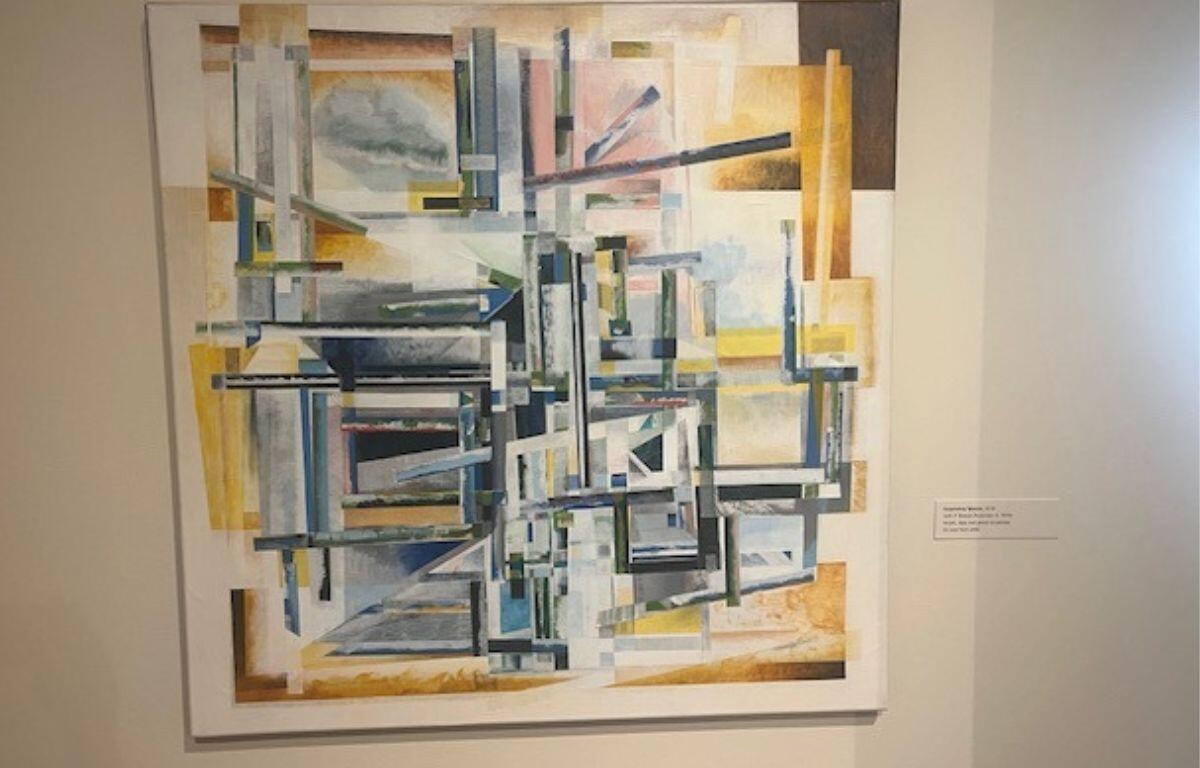 Ocala Artist Seth Benzel’s One-Man Show to Open at Appleton Museum of ...