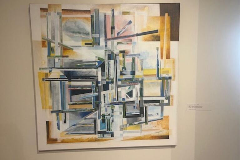 Ocala Artist Seth Benzel’s One-Man Show to Open at Appleton Museum of ...