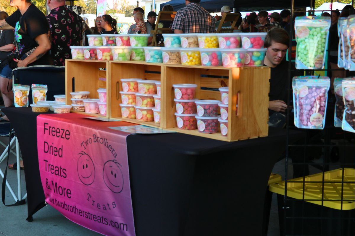 The Monthly Oddities Market Features Unique Items | Photos - 352today