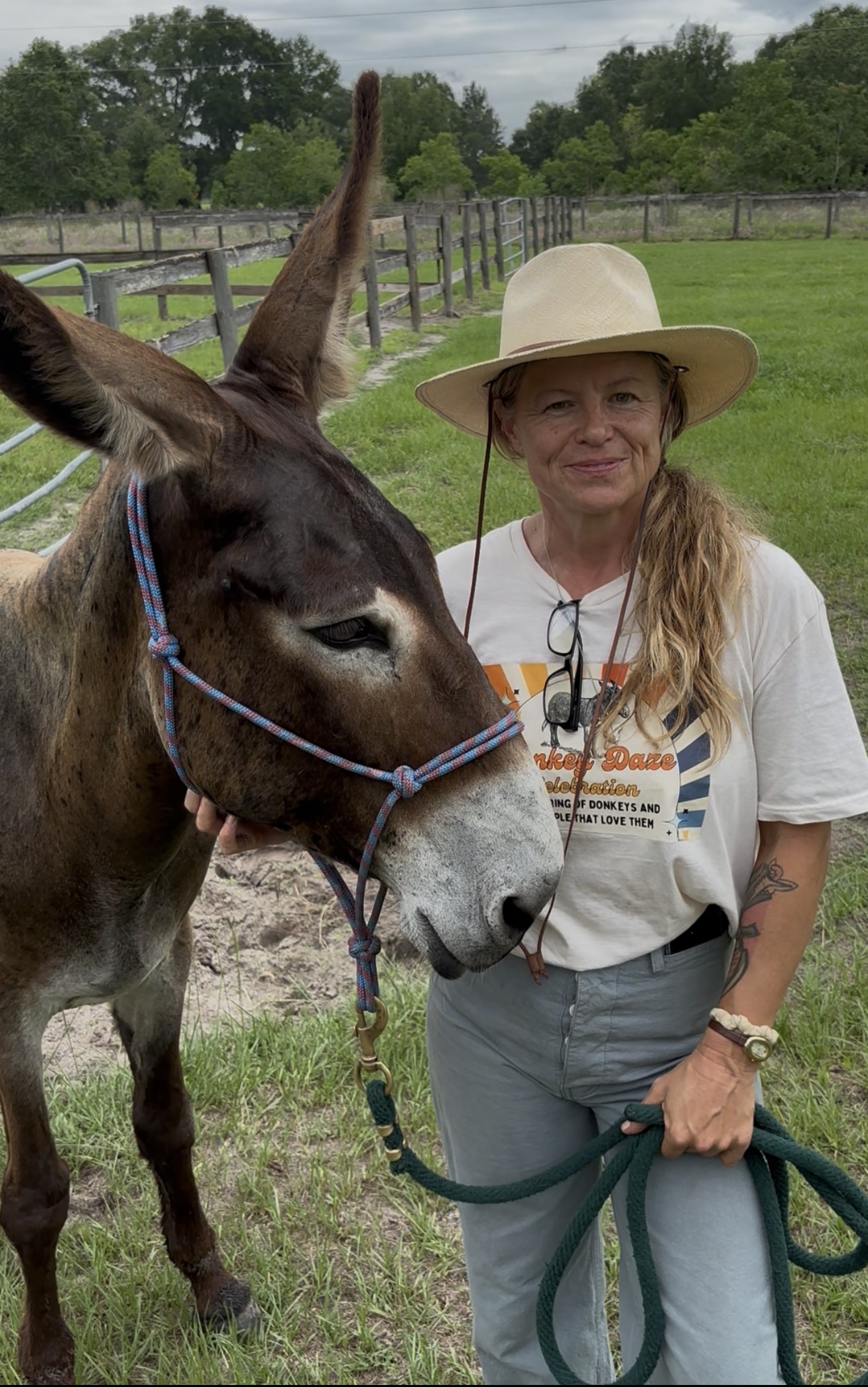 Stubborn as a Mule, Inaugural Donkey Daze Festival Defies Weekend ...